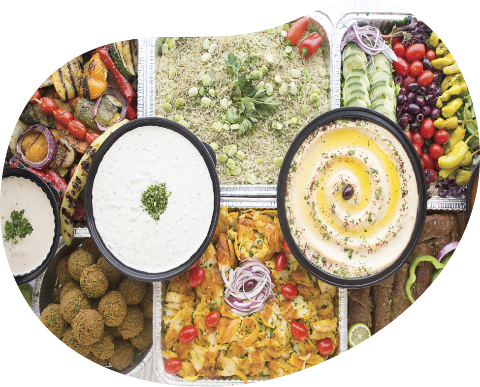 Taza Cafe | Authentic Middle Eastern Restaurant in Chicago